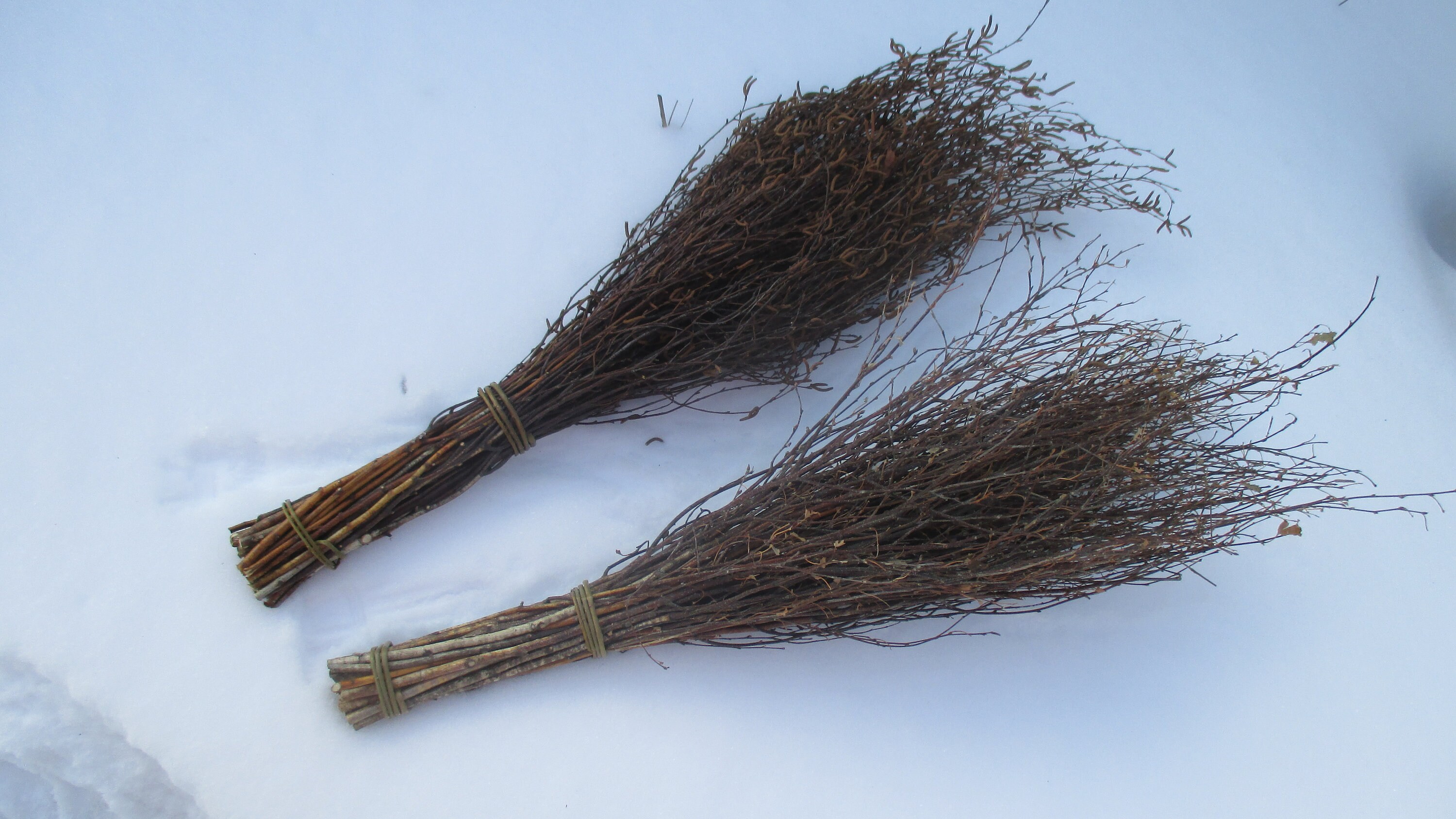 Extra Long Birch Twigs Birch Twigs Birch Tree Branches - Etsy Canada