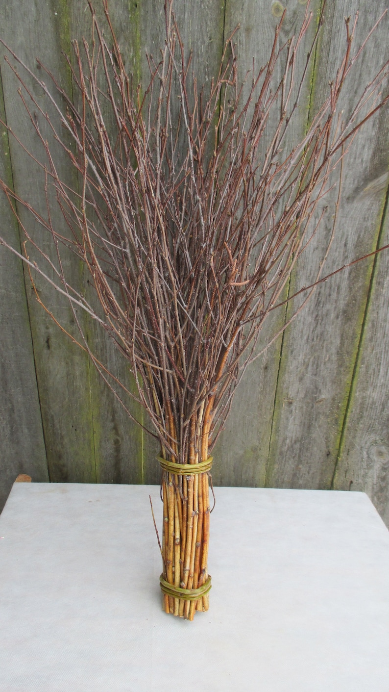 Birch Besom Birch Tree Branches Birch Twigs Bundle | Etsy UK