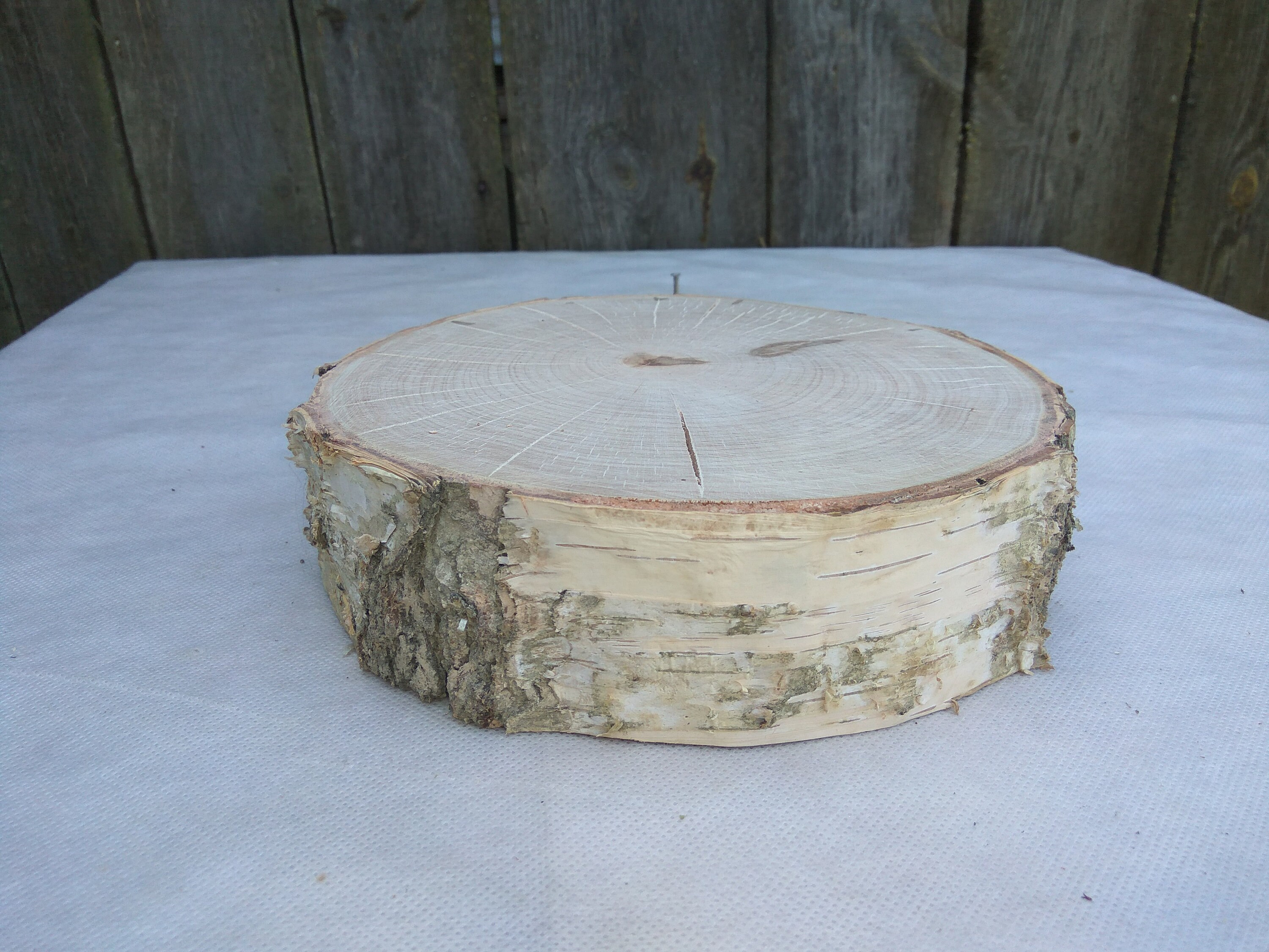 78 White Birch Wood Slice 7-8 Inch Wood Slab - Etsy