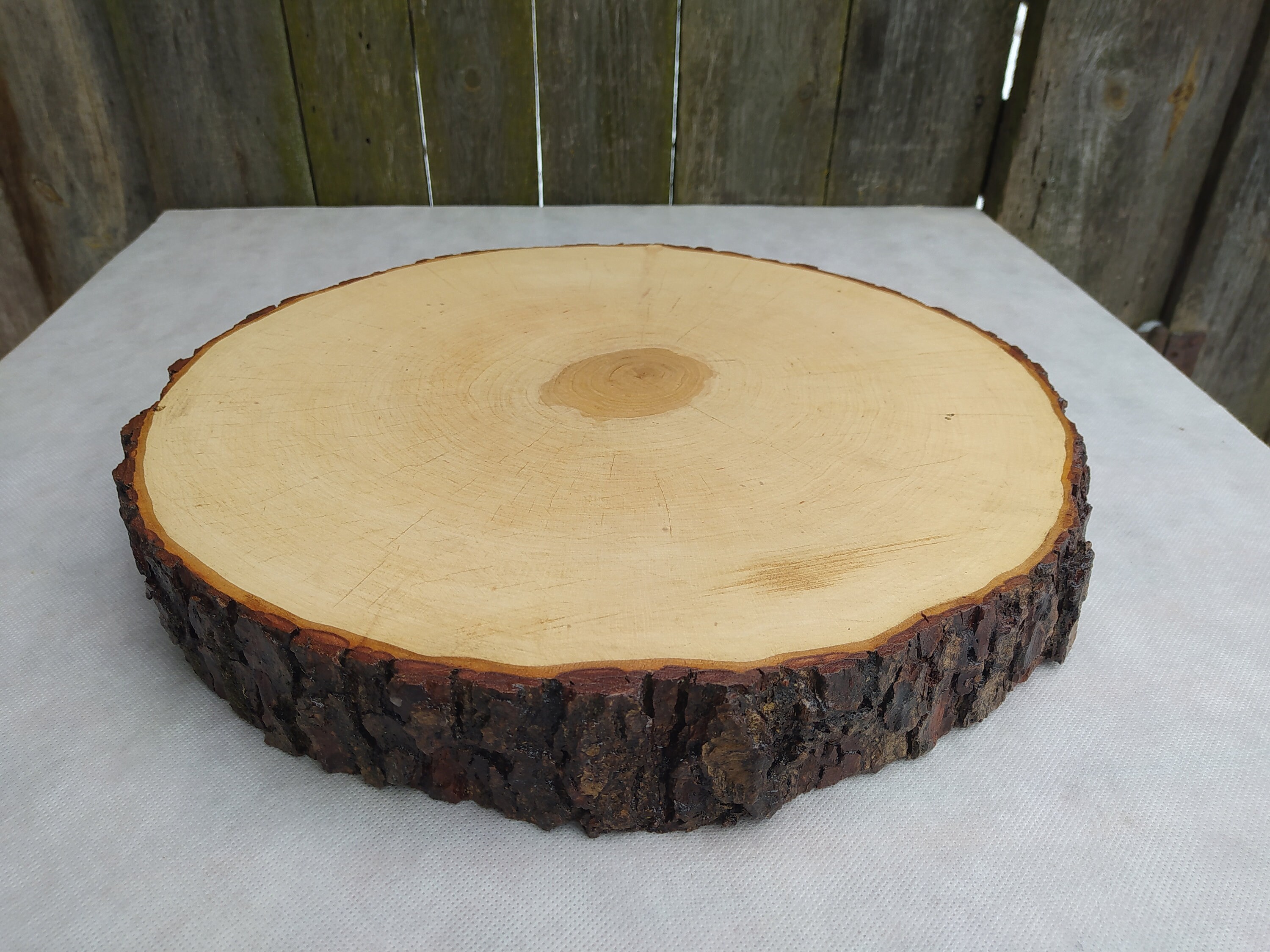 Large Wood Slice 1415 Alder Wood Slice Wood | Etsy