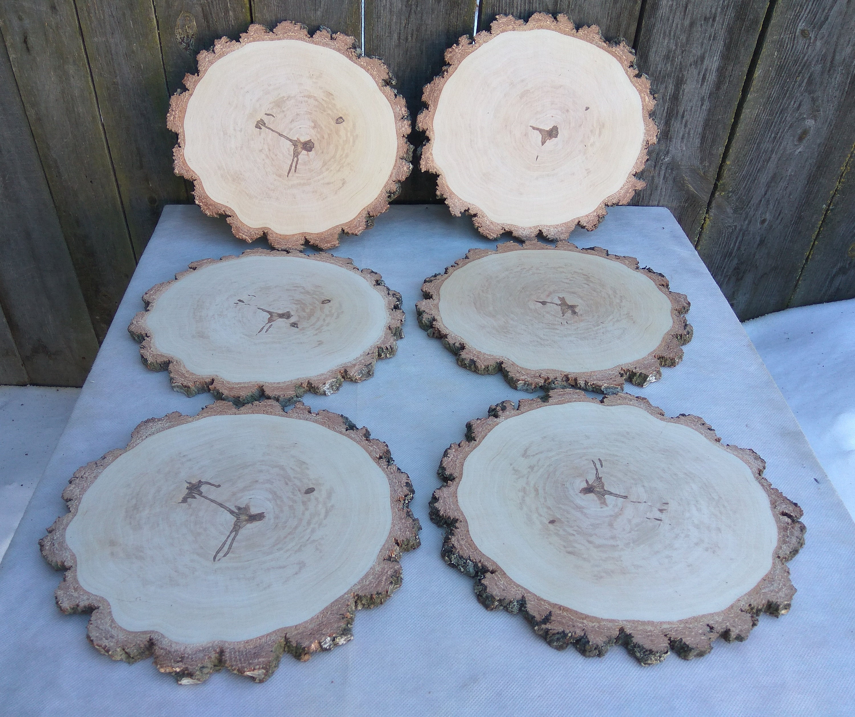 1012 Birch Wood Slice 10-12 Inch Wood Slice - Etsy