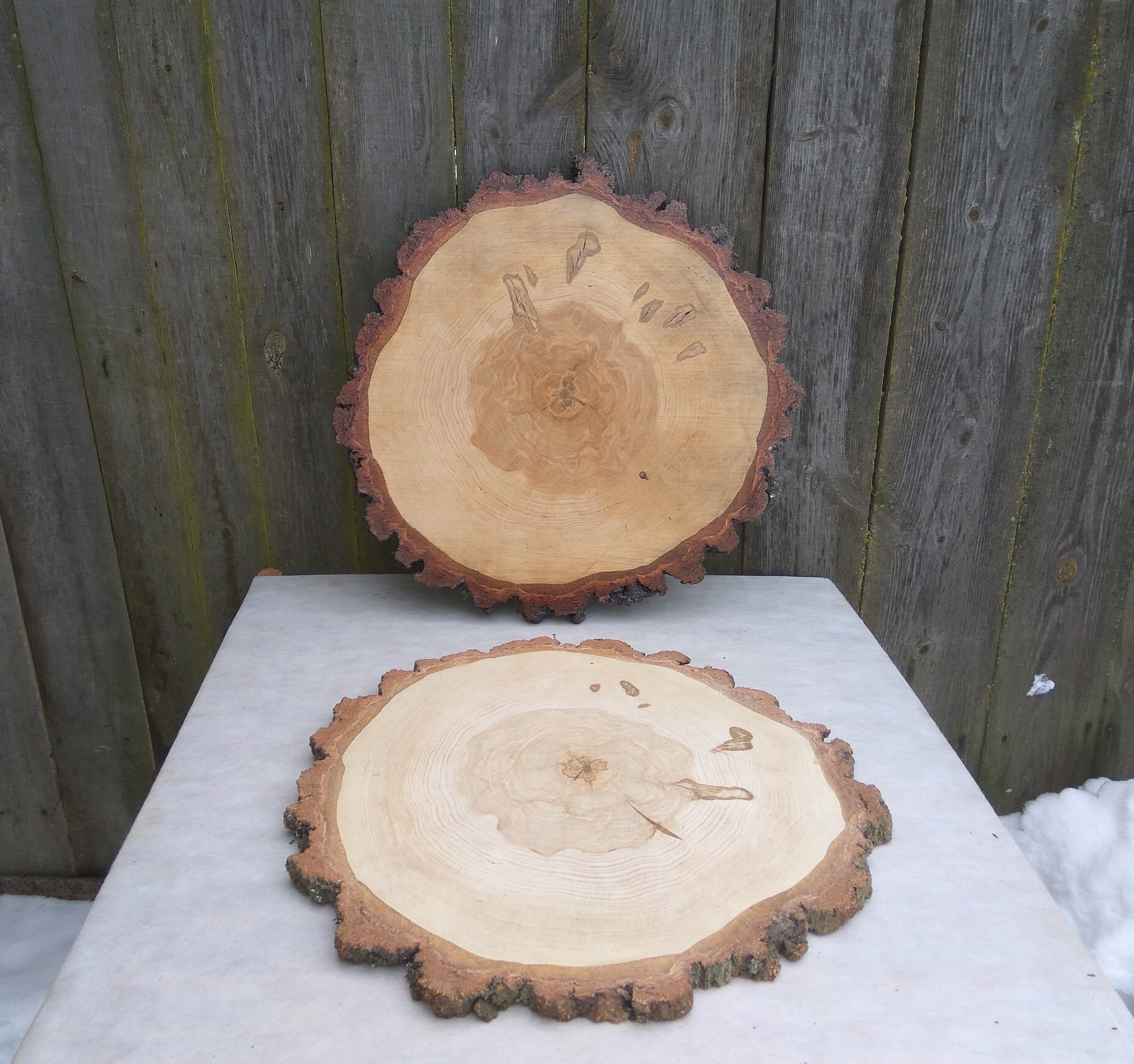 17large Birch Wood Slices 17 Inch Wood Slabs Wood | Etsy