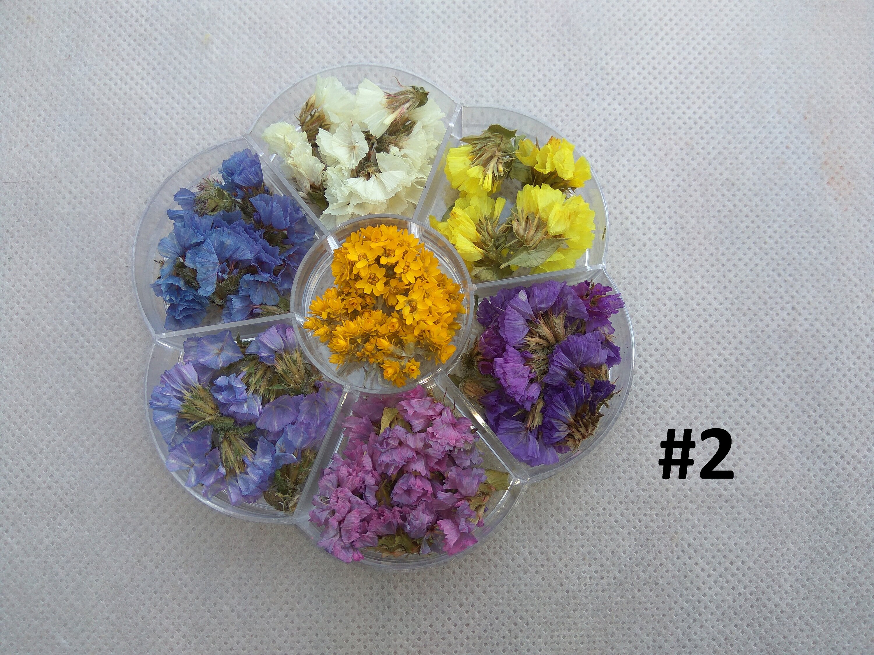 Set of Dried Mini Flowersmini Flowers Boxresin Jewelry - Etsy