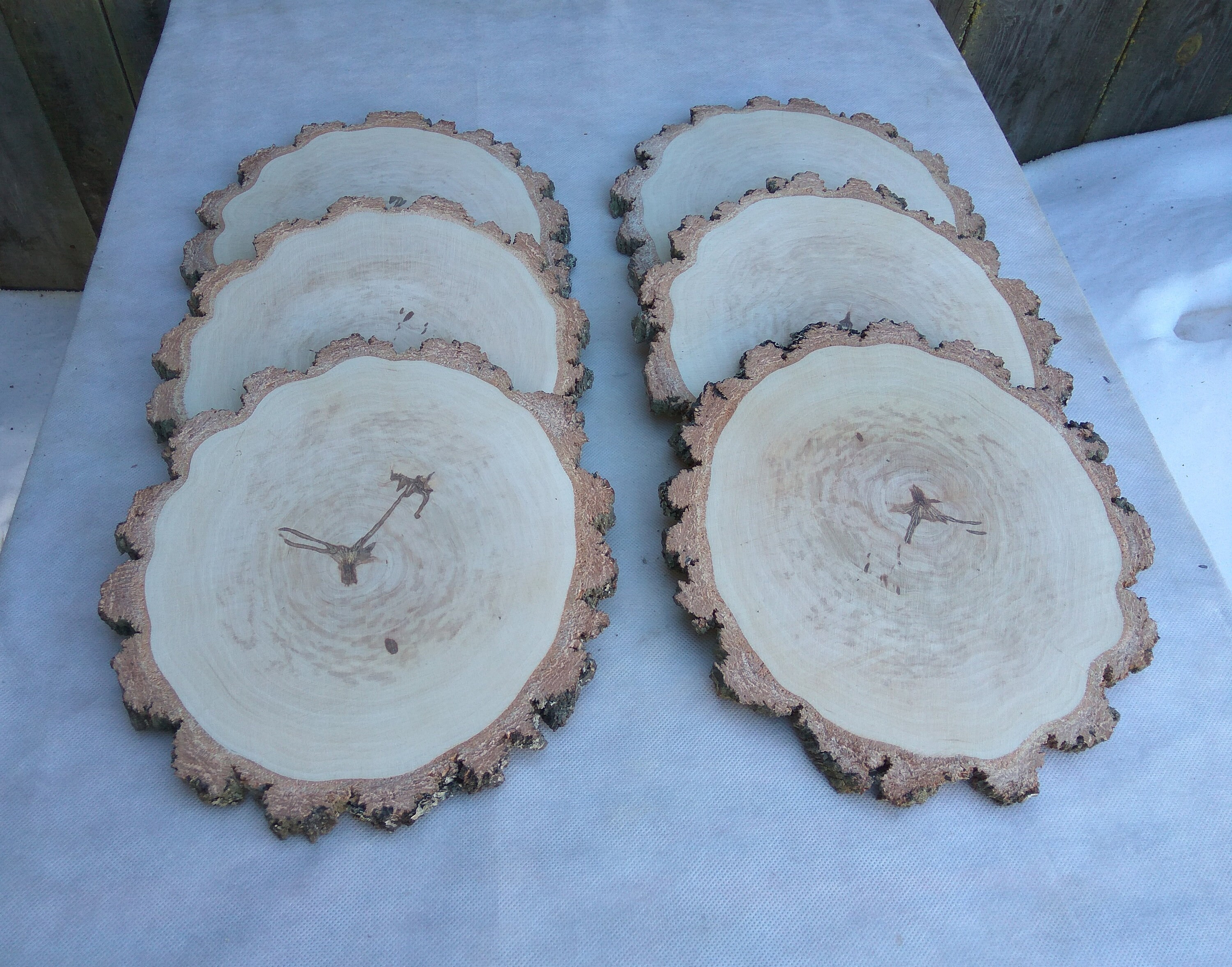 1012 Birch Wood Slice 10-12 Inch Wood Slice - Etsy