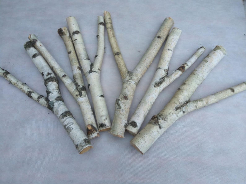 6 Large Forked Wood Sticks, Birch Sticks, Wood Decor, Birch Log, White ...
