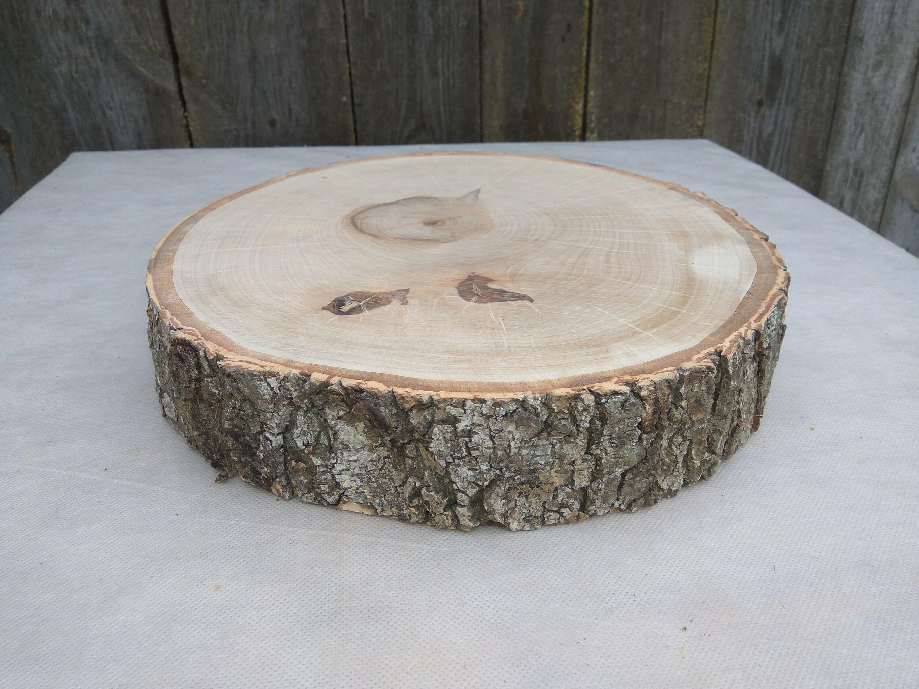 12-13 Inch Birch Wood Slice 1213 Wood Slice - Etsy
