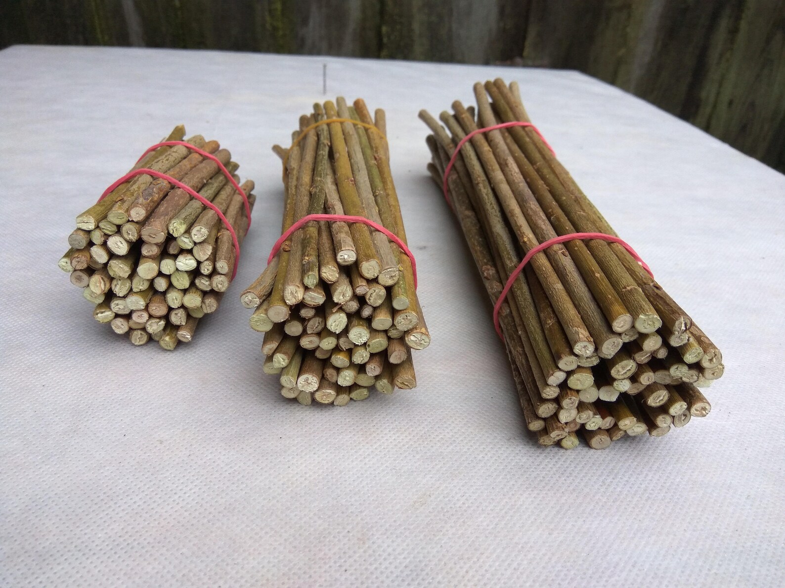 Willow Twigs, Willow Sticks - Etsy