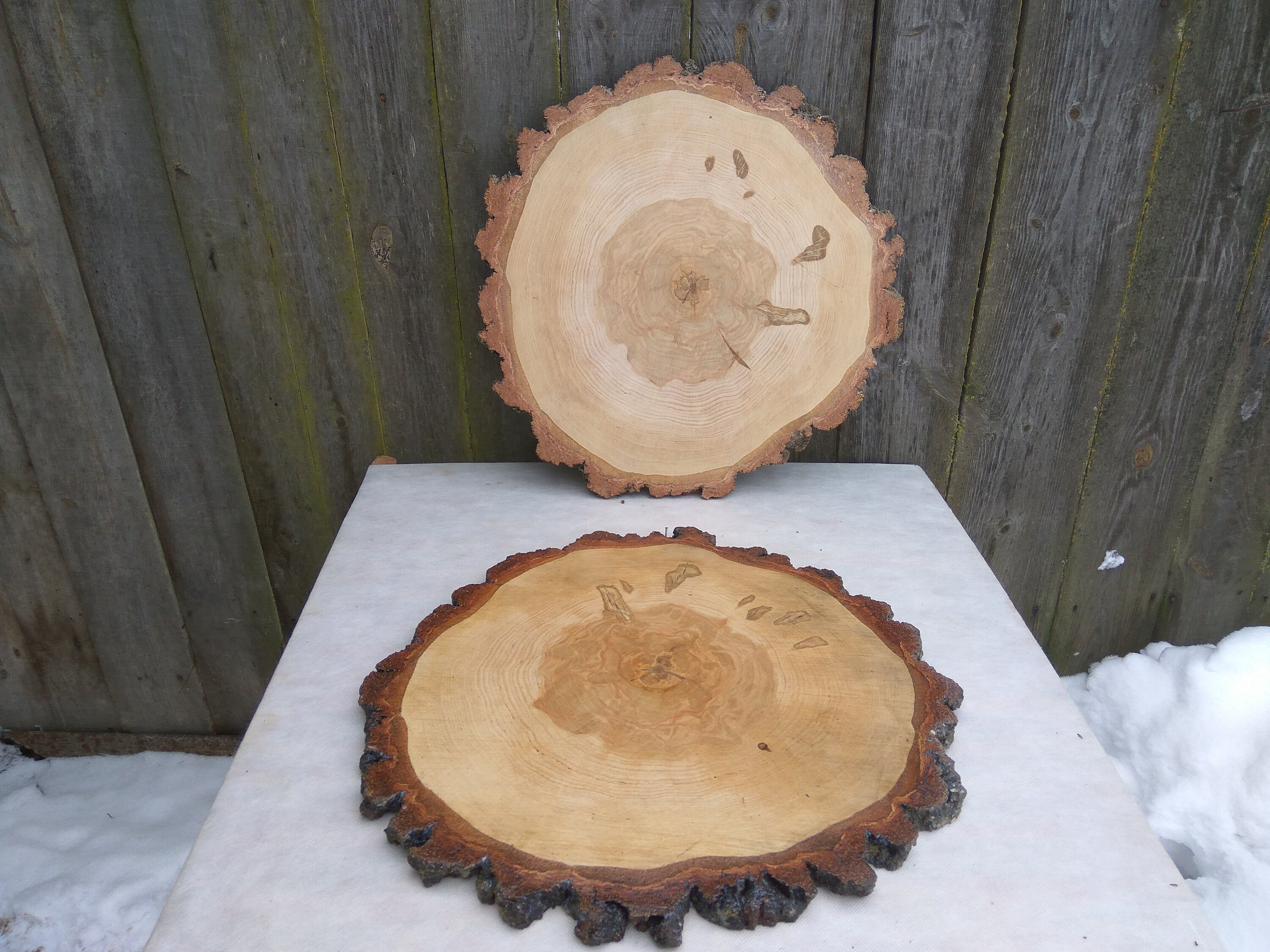 17large Birch Wood Slices 17 Inch Wood Slabs Wood | Etsy