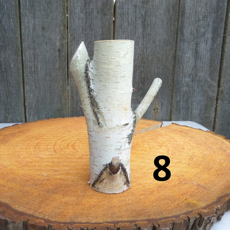 Birch Decor - Etsy