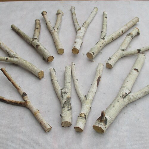 10 Forked Wood Sticks Birch Sticks White Birch Branches - Etsy