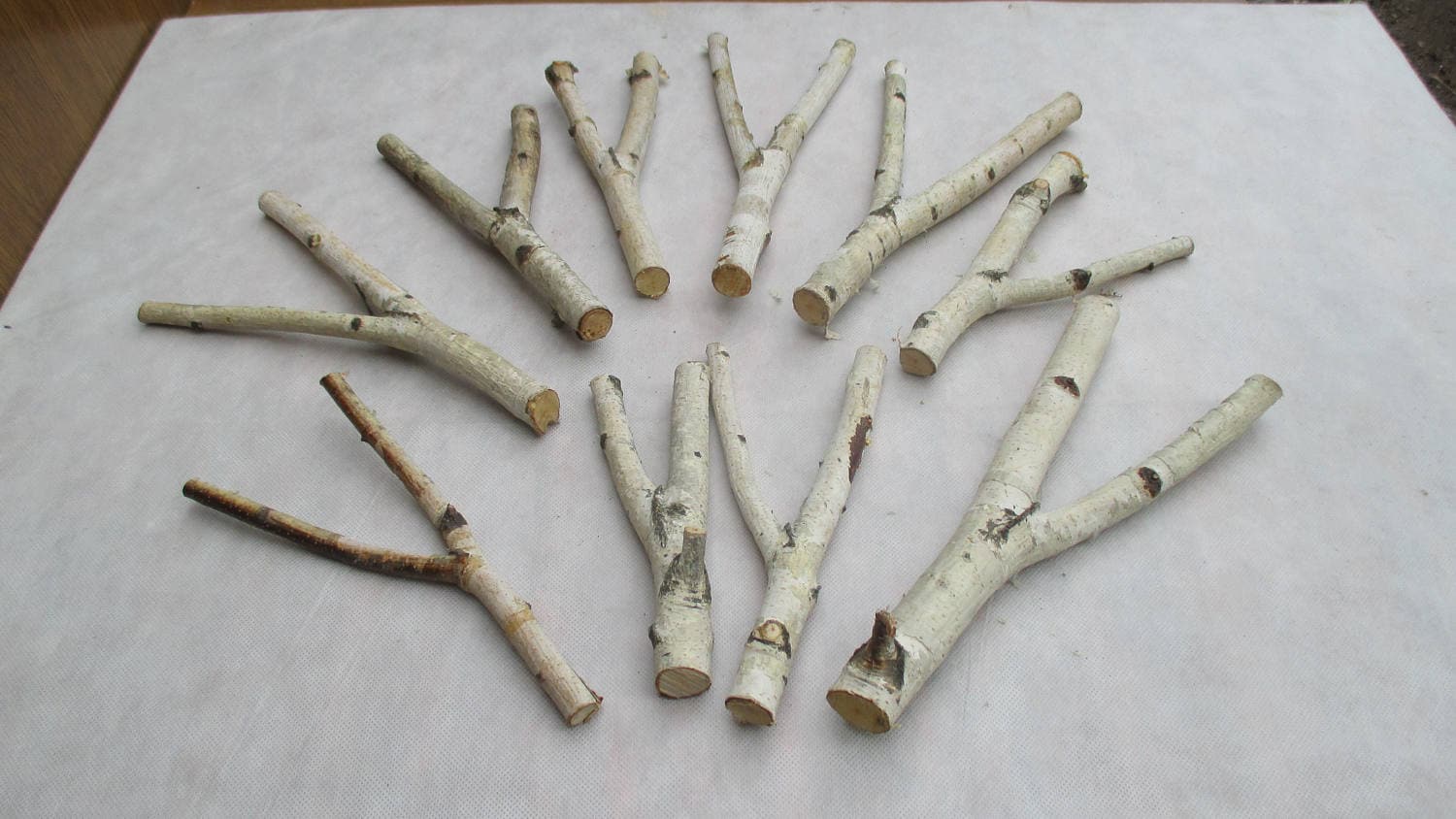 10 Forked Wood Sticks Birch Sticks White Birch Branches - Etsy