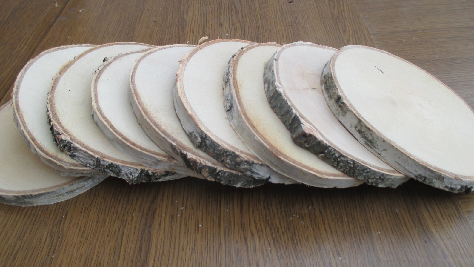 5-6 Inch Birch Wood Slices, Set of 10 Wood Slices, Birch Slices - Etsy