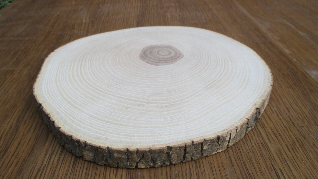 Large Ash Tree Wood Slice, Rustic Wedding Decor (7-9 Inch) - Etsy