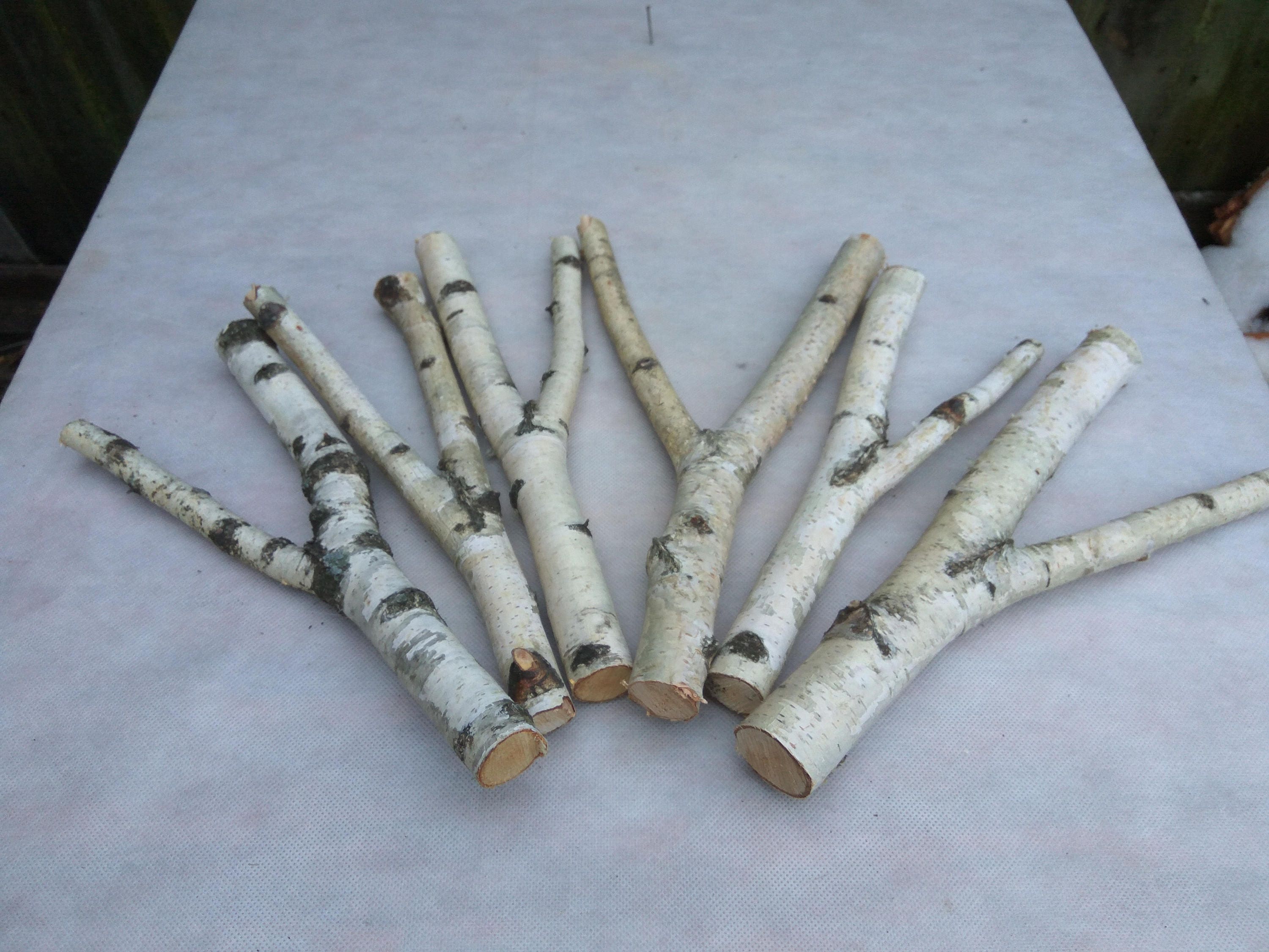 6 Large Forked Wood Sticks Birch Sticks Wood Decor Birch - Etsy