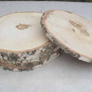 10-11 Inch Birch Slice Wood Slice 1011 Wood - Etsy