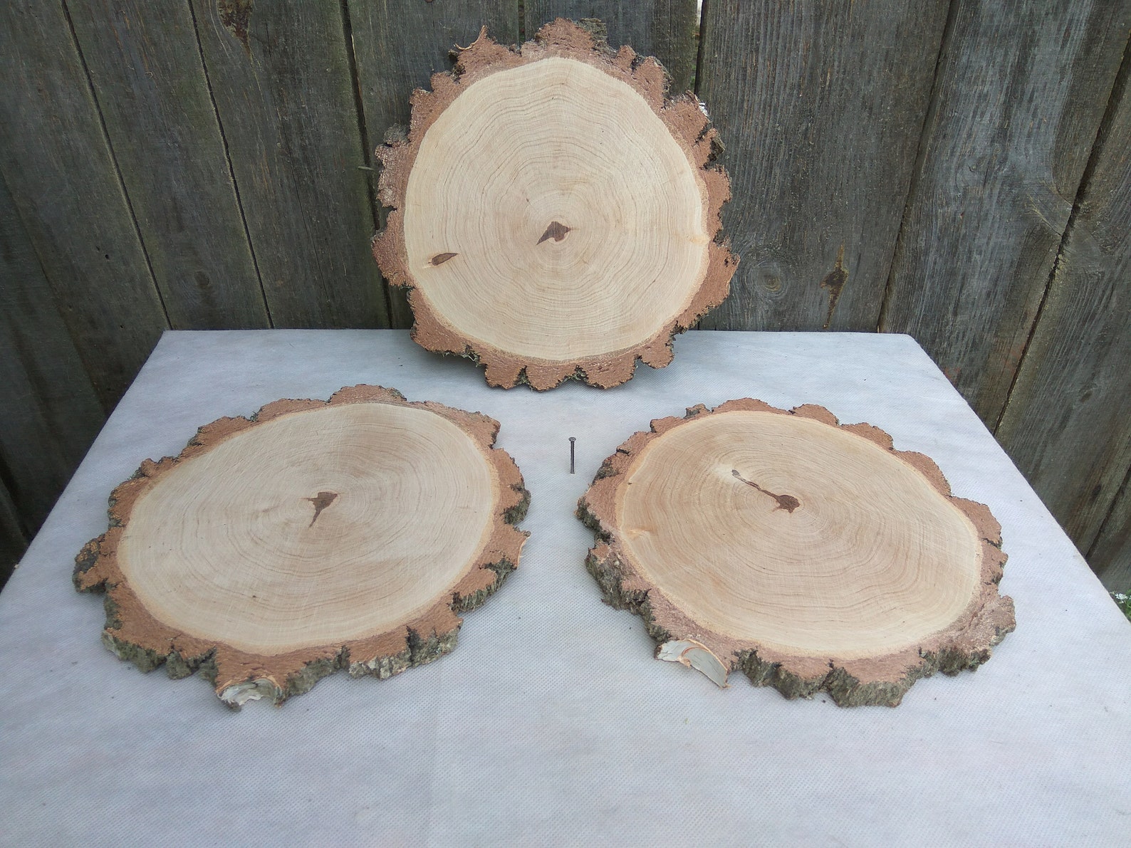 6 wood plates for centerpiece birch 11 Birch coaster | Etsy