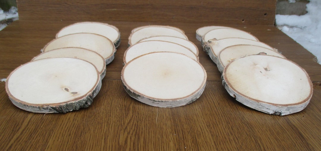 5-6 Inch Birch Wood Slices, Set of 10 Wood Slices, Birch Slices - Etsy