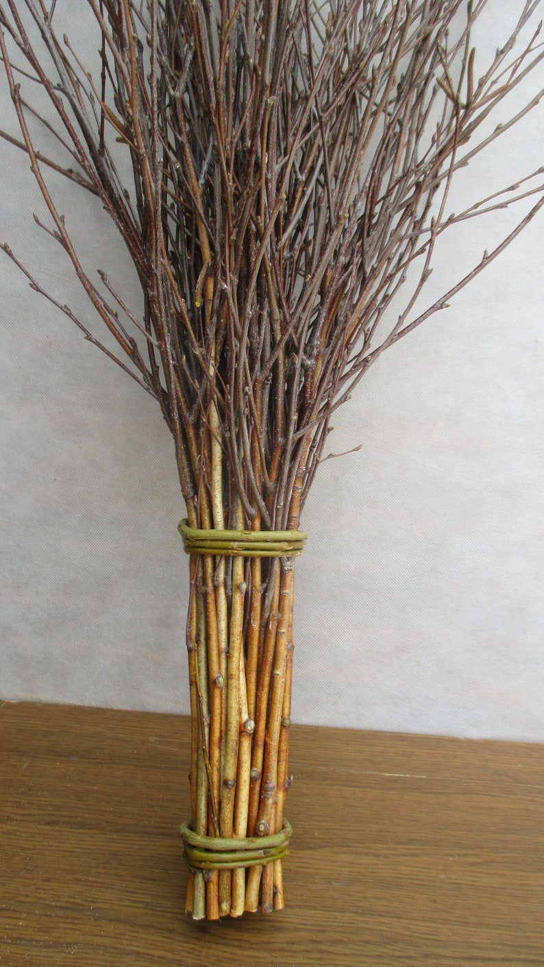 Birch Besom Birch Tree Branches Birch Twigs Bundle - Etsy