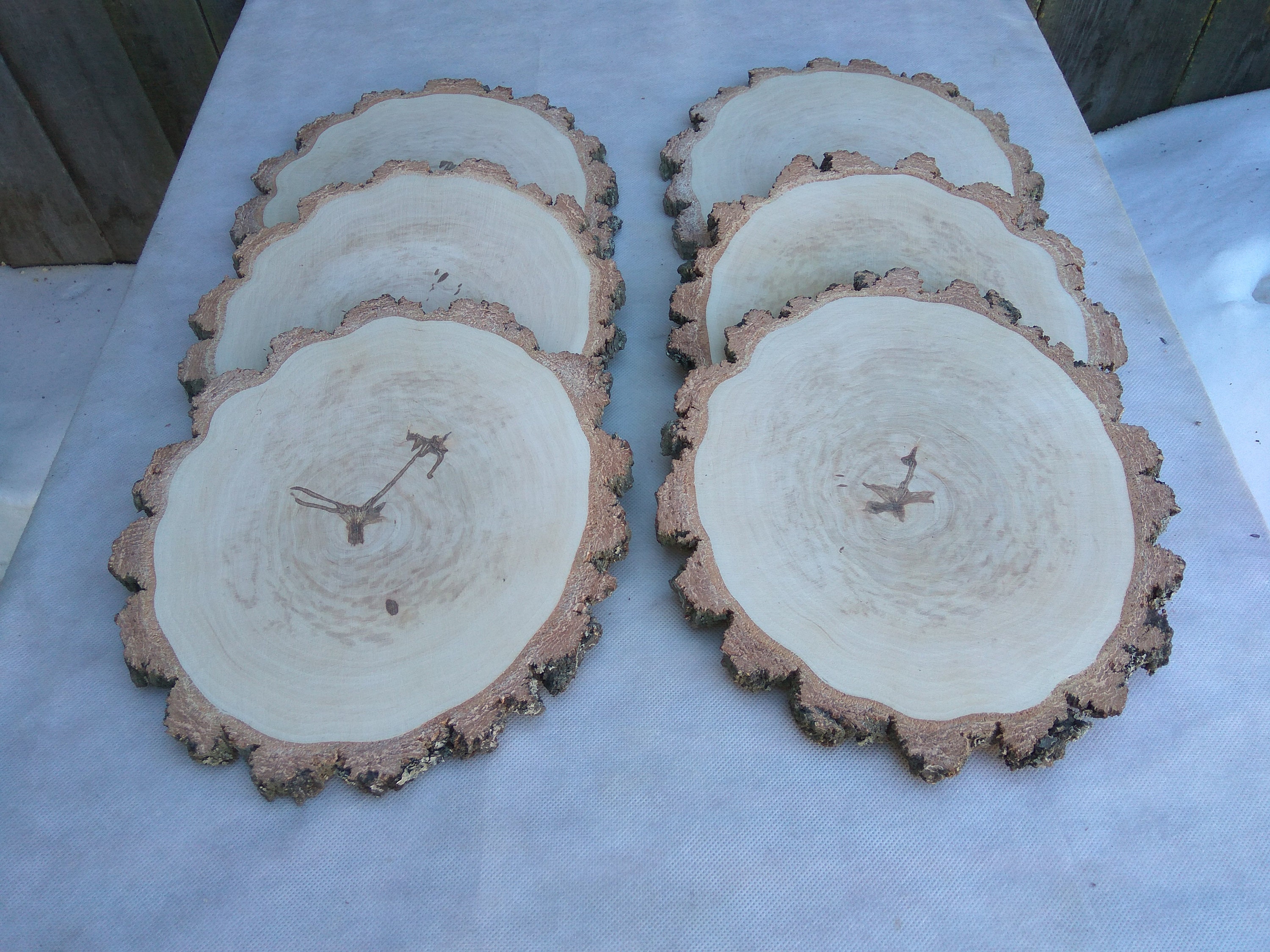1012 Birch Wood Slice 10-12 Inch Wood Slice - Etsy