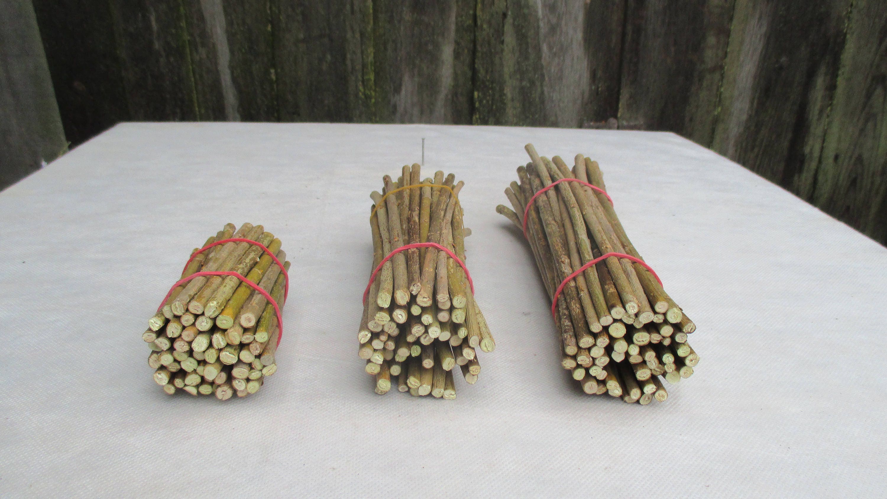 Willow Twigs, Willow Sticks - Etsy