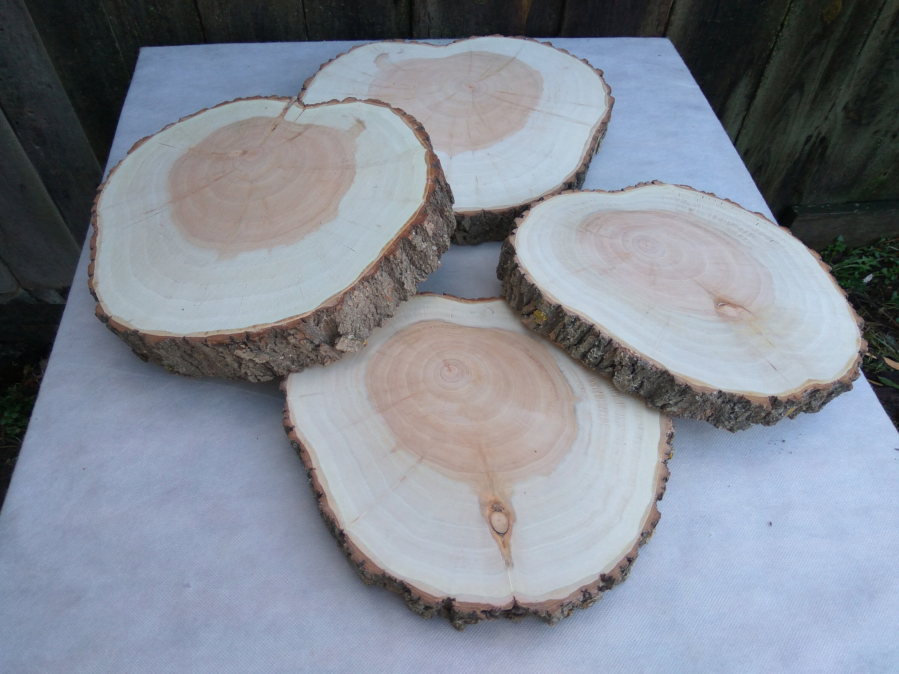 11"-13"wood Slab, Willow Wood Slice, Approx. 11-13 Inch Cake Stand - Etsy