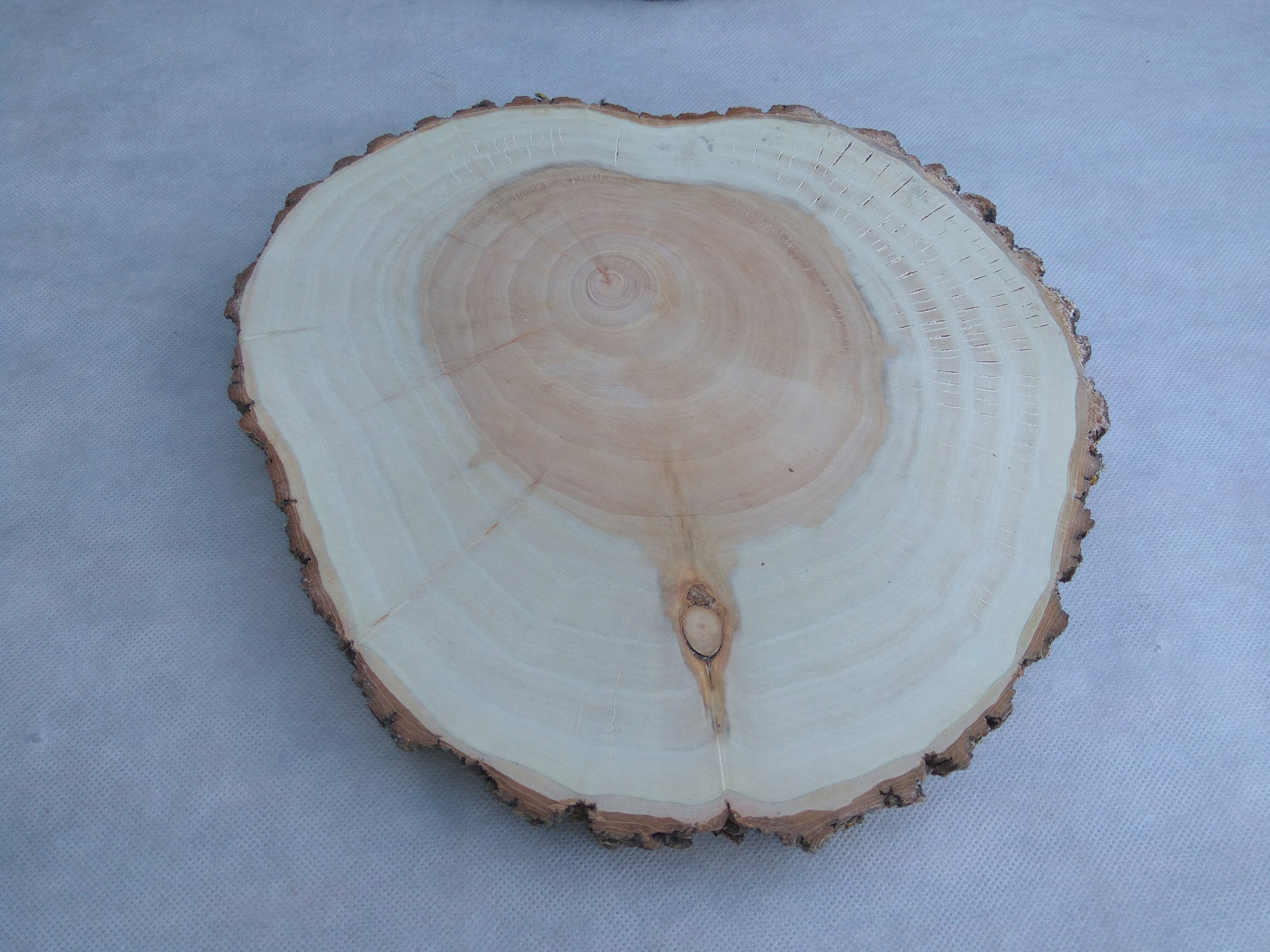 11"-13"wood Slab, Willow Wood Slice, Approx. 11-13 Inch Cake Stand - Etsy