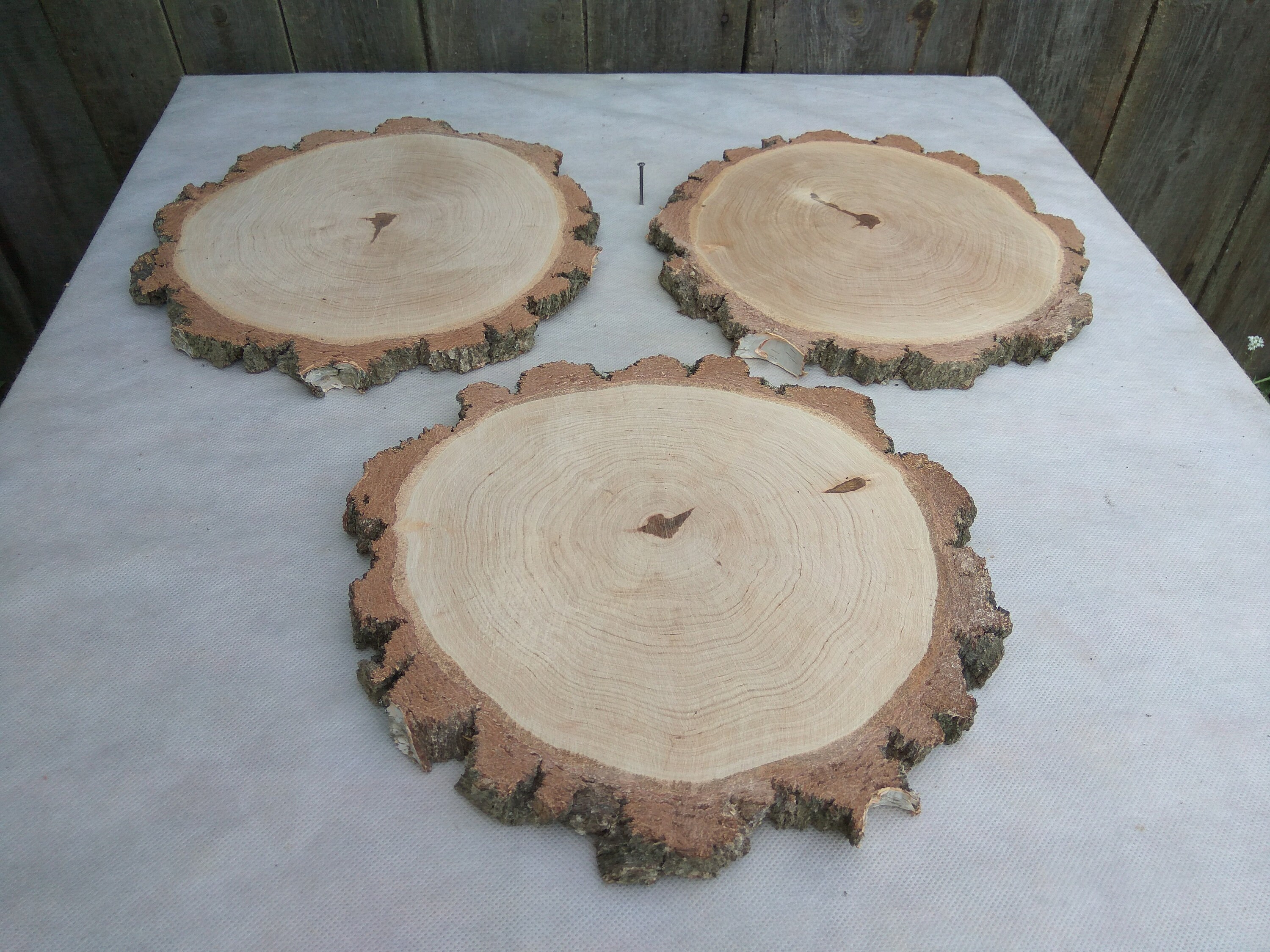 6 wood plates for centerpiece birch 11 Birch coaster | Etsy