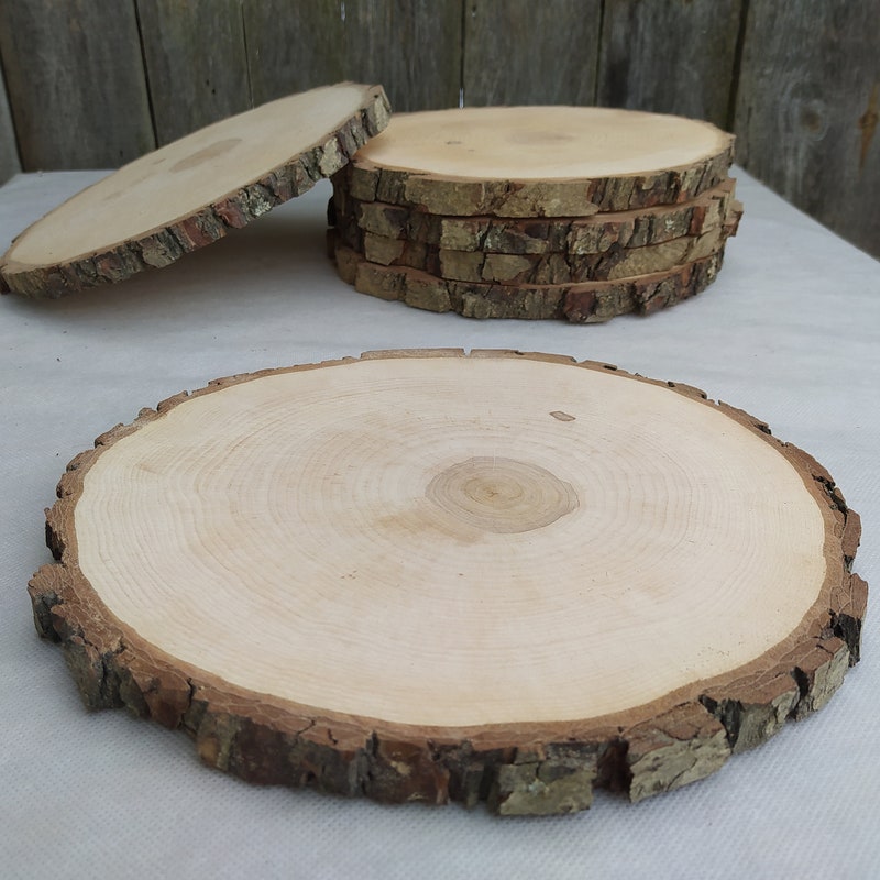 Wood Slices - Etsy