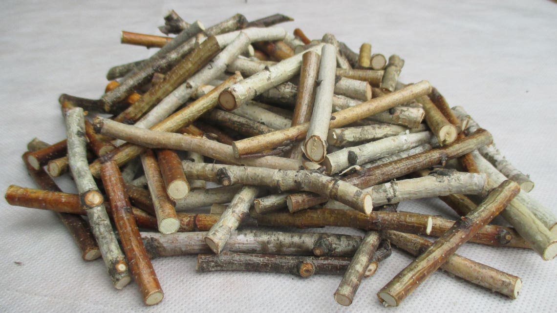 Birch Sticks 100 Small Birch Wood Sticks Birch Branches - Etsy