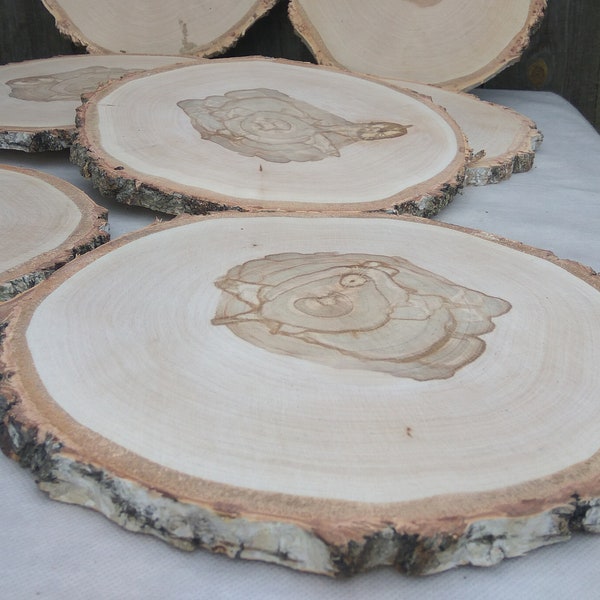 Large Wood Slices - Etsy