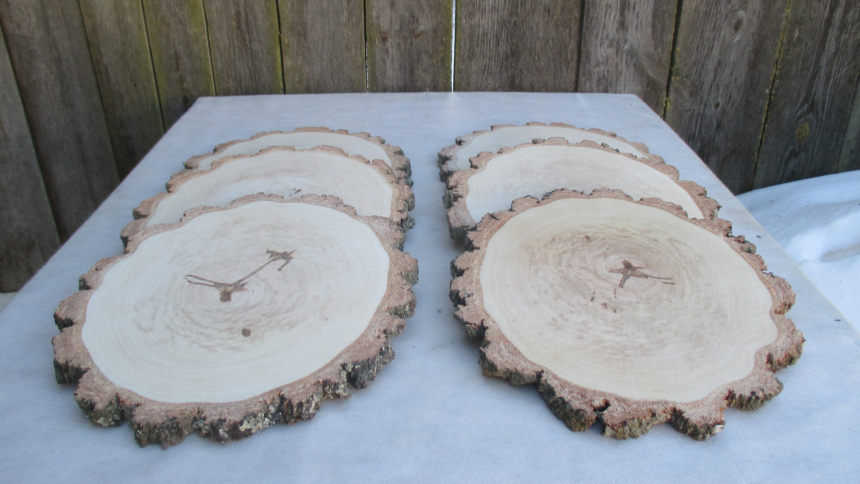 1012 Birch Wood Slice 10-12 Inch Wood Slice - Etsy