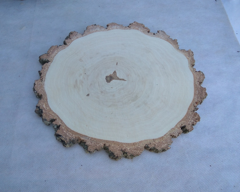 1012 Birch Wood Slice 10-12 inch wood slice | Etsy