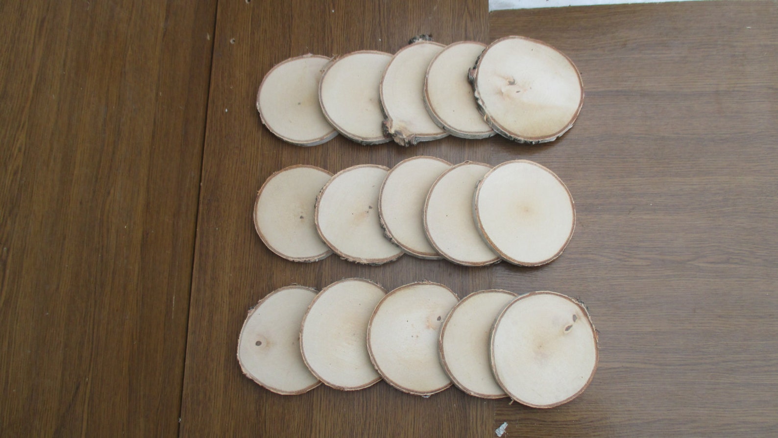 5-6 Inch Birch Wood Slices, Set of 10 Wood Slices, Birch Slices - Etsy