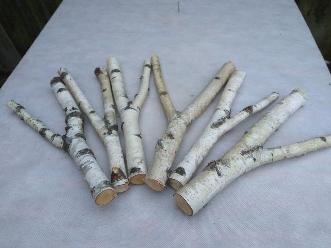 6 Large Forked Wood Sticks, Birch Sticks, Wood Decor, Birch Log, White ...