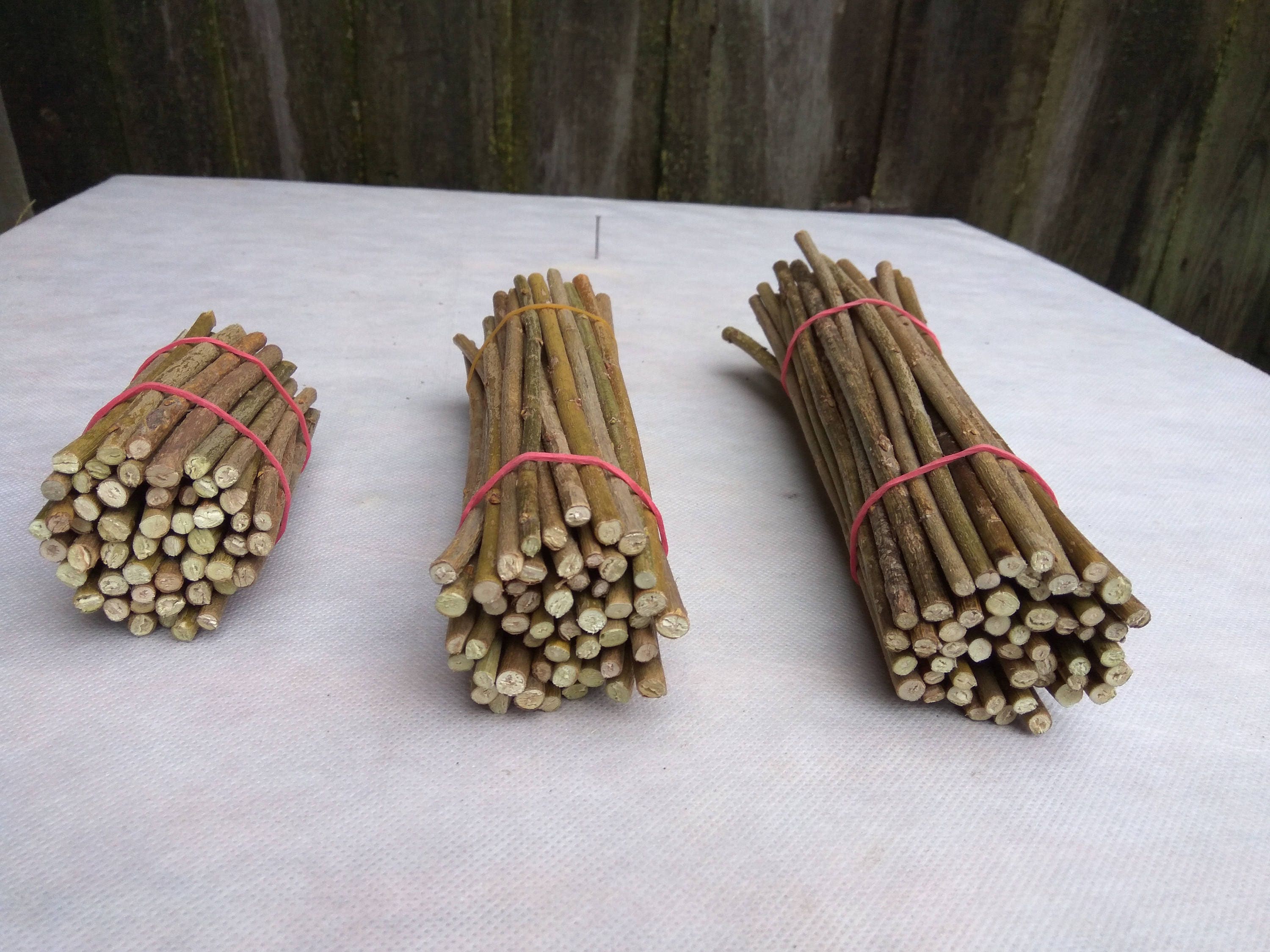 Willow Twigs Willow Sticks | Etsy