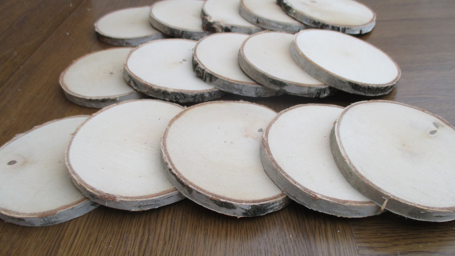 5-6 Inch Birch Wood Slices, Set of 10 Wood Slices, Birch Slices - Etsy