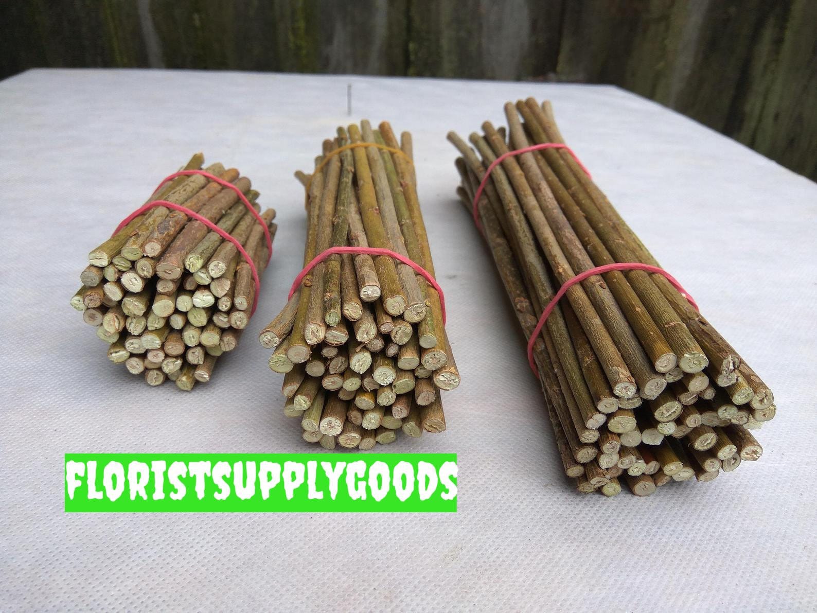 Willow Twigs Willow Sticks | Etsy