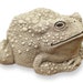 Toad Statue Stone for Home & Garden, Toad Art Sculpture, Toad and Frog ...