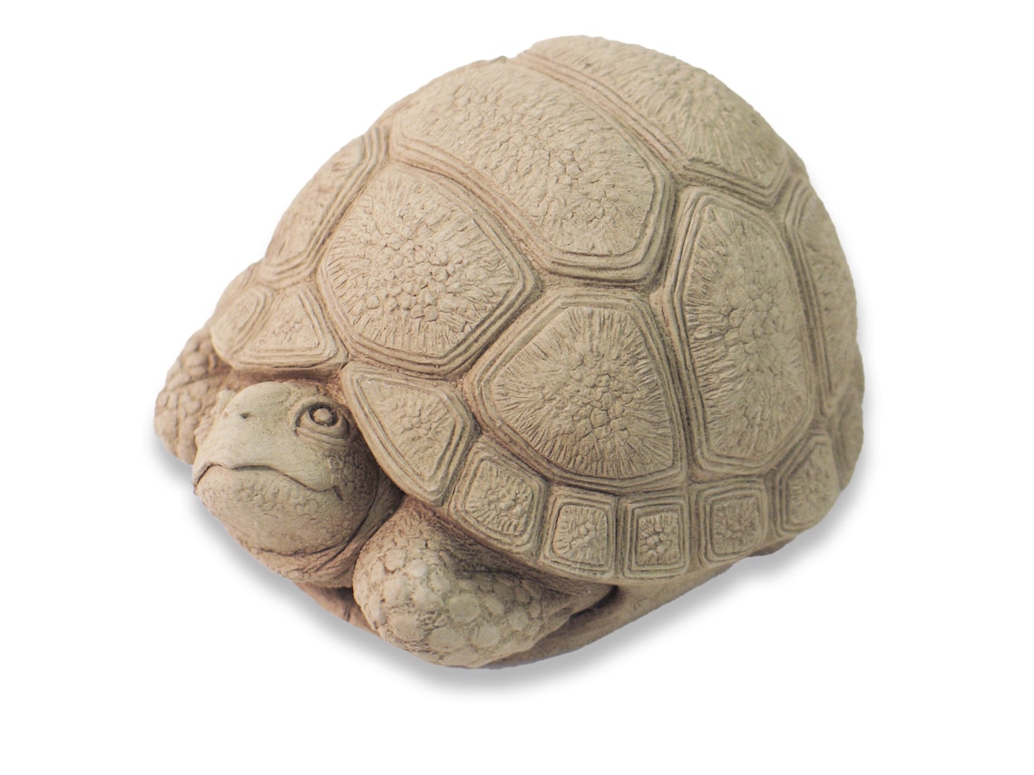 Turtle Stone Sculpture Turtle Gift Turtle Art Turtle Decor - Etsy