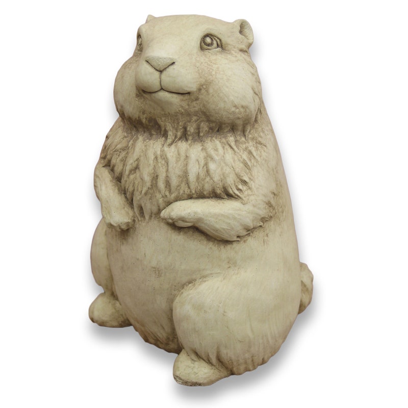 Groundhogs Day Decorations - Etsy