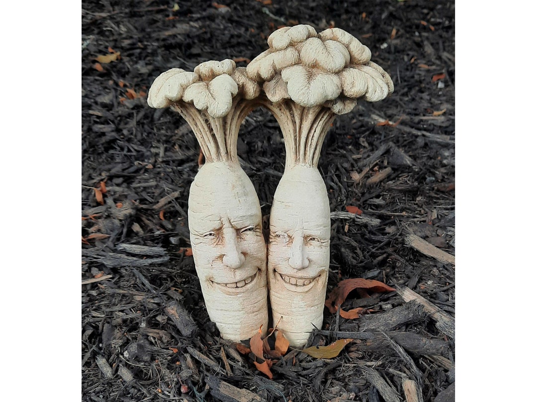 Carrot Sculpture With Funny Faces, Carrot Garden Art, Veggie Wall Art ...