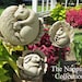 Napping Squirrel Plaque for Home & Garden, Squirrel Stone Sculpture ...