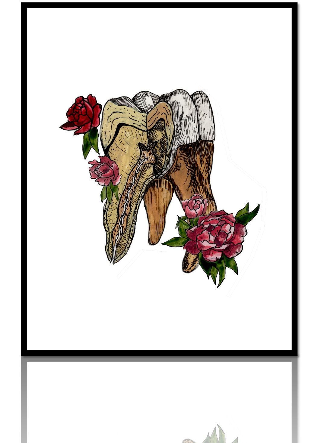 Tooth Anatomy Drawing Floral Anatomy Floral Tooth Digital | Etsy