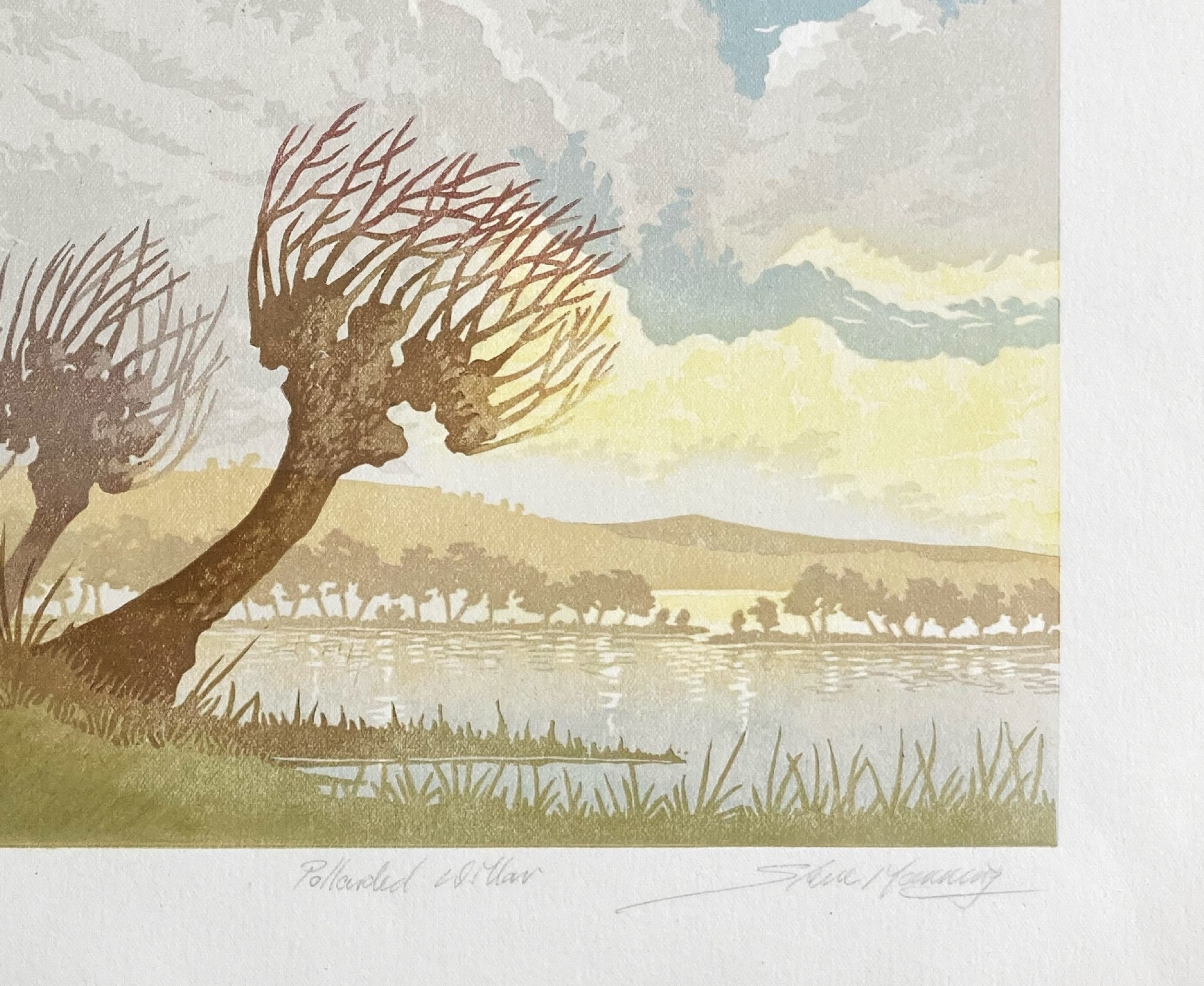 Pollarded Willow Lino Print Showing Big Sky, Sunse, Somerset Levels and ...