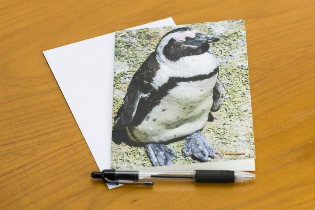 Penguin Greetings Card. Cute Animal Card. Blank Inside so Suitable as a ...
