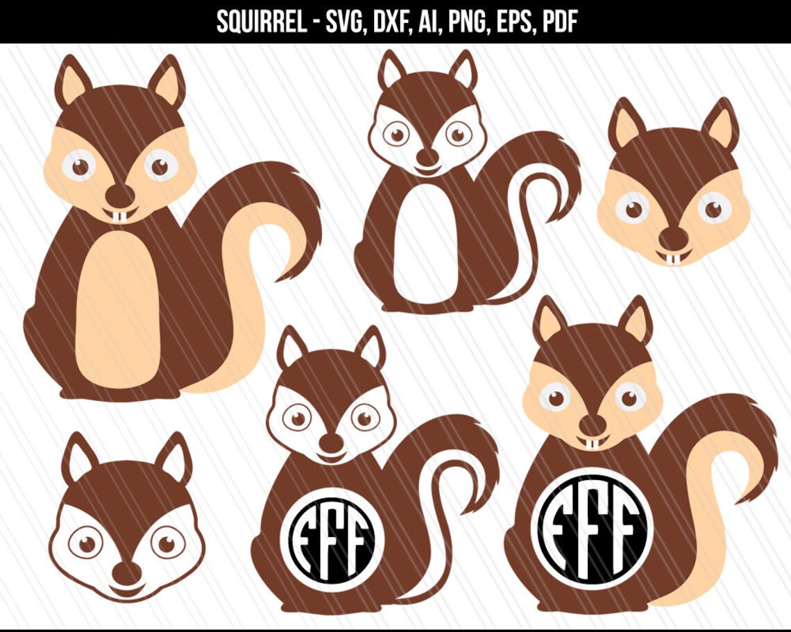 Squirrel Svg, Squirrel Clipart, Squirrel Monogram Svg, Cricut, Animal ...