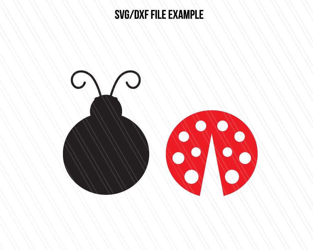 Ladybug SVG, Lady Bug Monogram SVG, Ladybug Beetle Svg, Ladybug SVG Cut ...