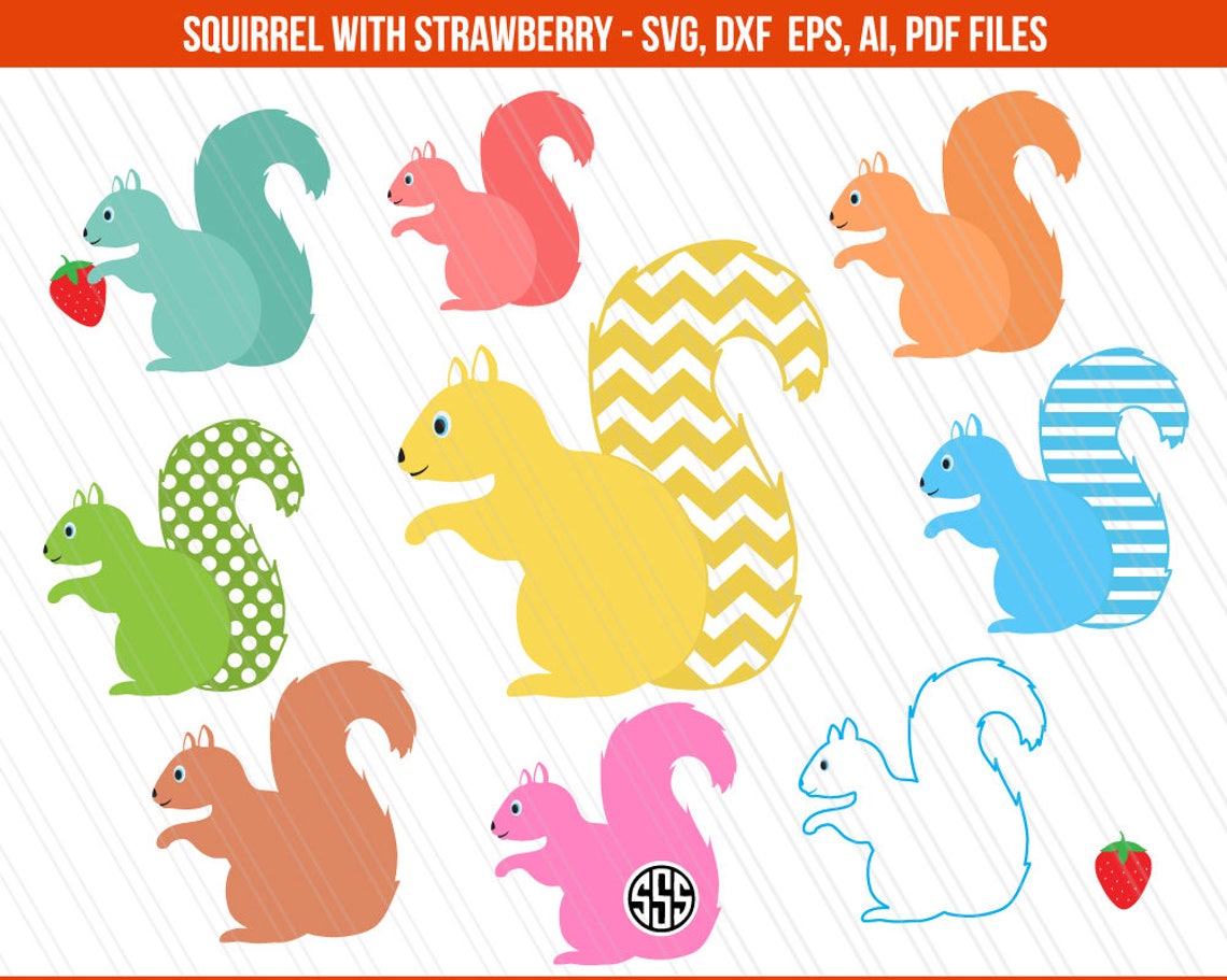 Squirrel svg Animal svg Squirrel clipart Monogram svg | Etsy