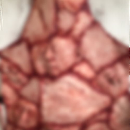 Ed Gein Inspired Apron - Etsy