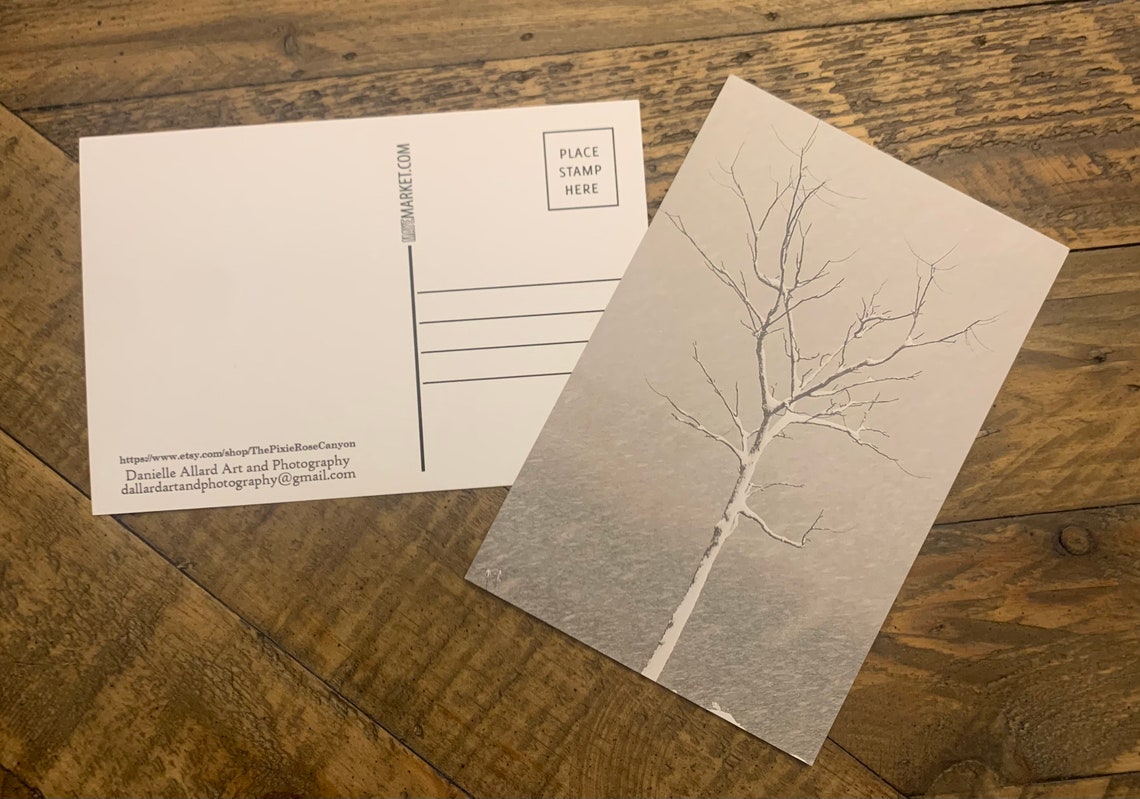 4 X 6 Postcard the Snow Tree - Etsy